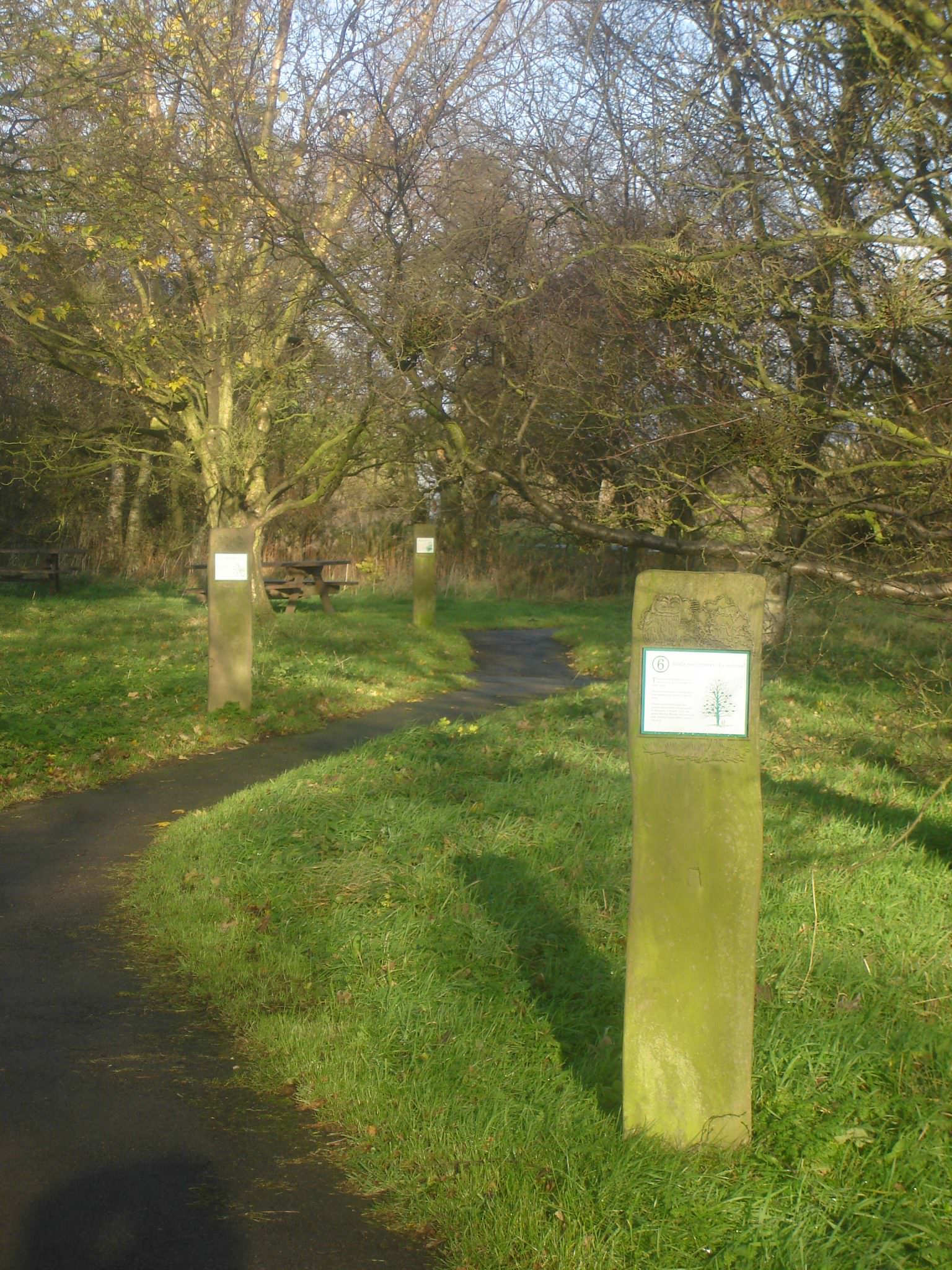 Timber Bollards & Waymarker Posts for Public Open Spaces